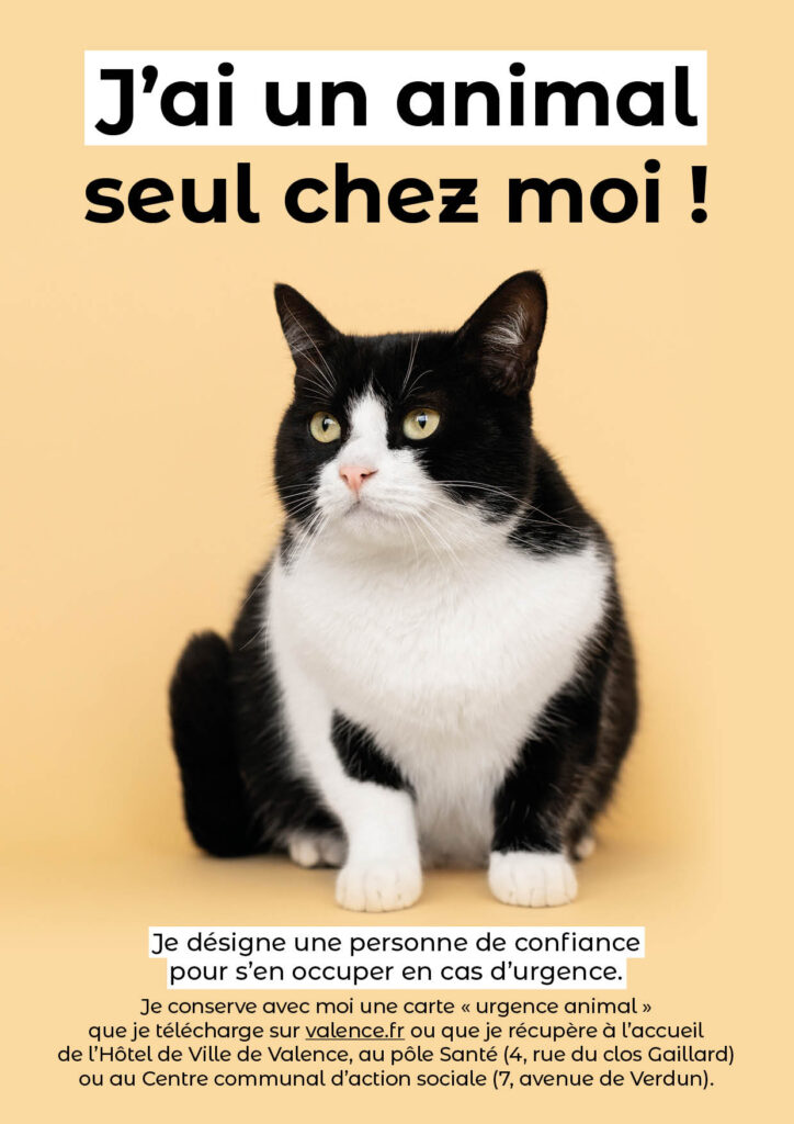 J'ai un animal seul chez moi - Ville de Valence