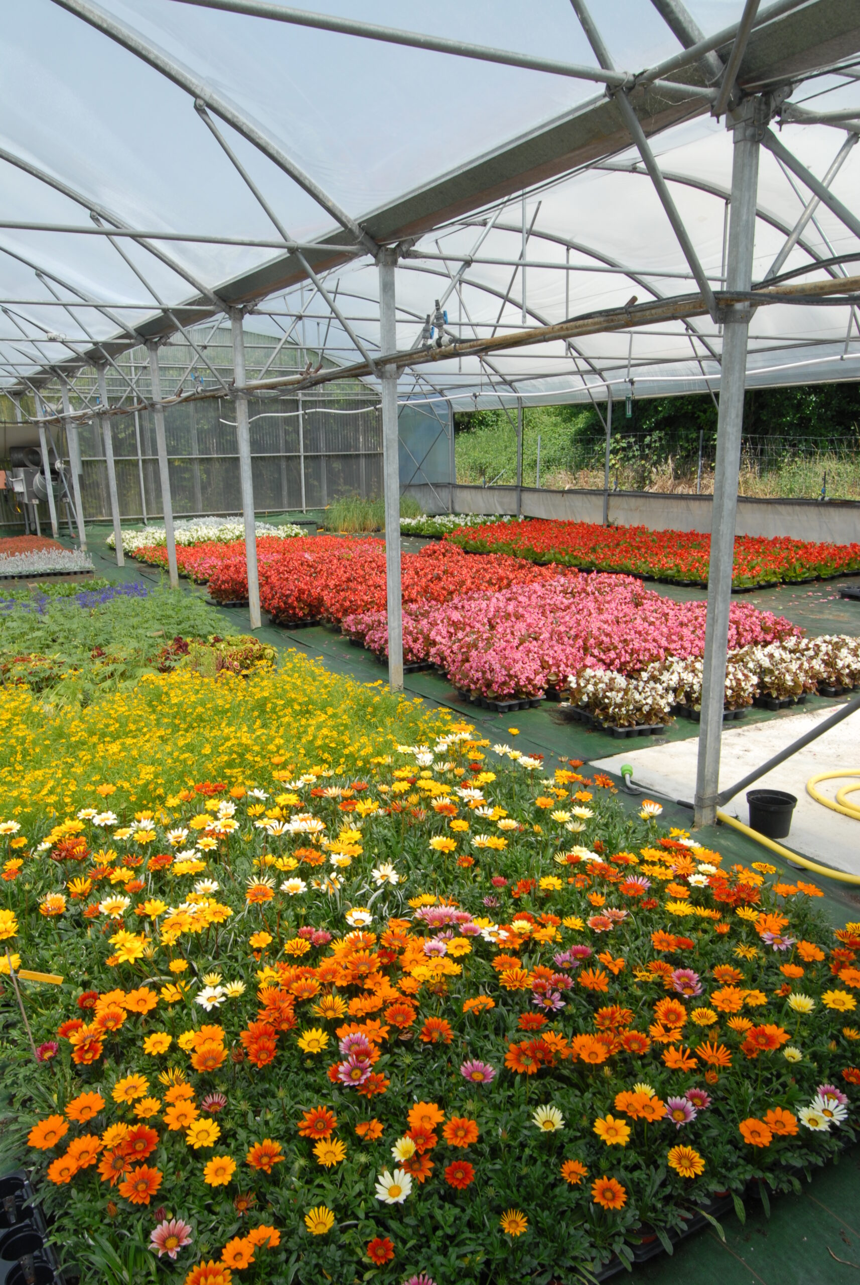La production florale – Ville de Valence