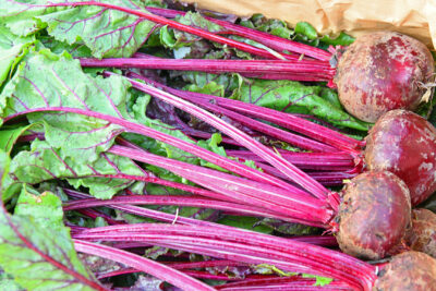 Un nouveau marché au Polygone – Ville de Valence