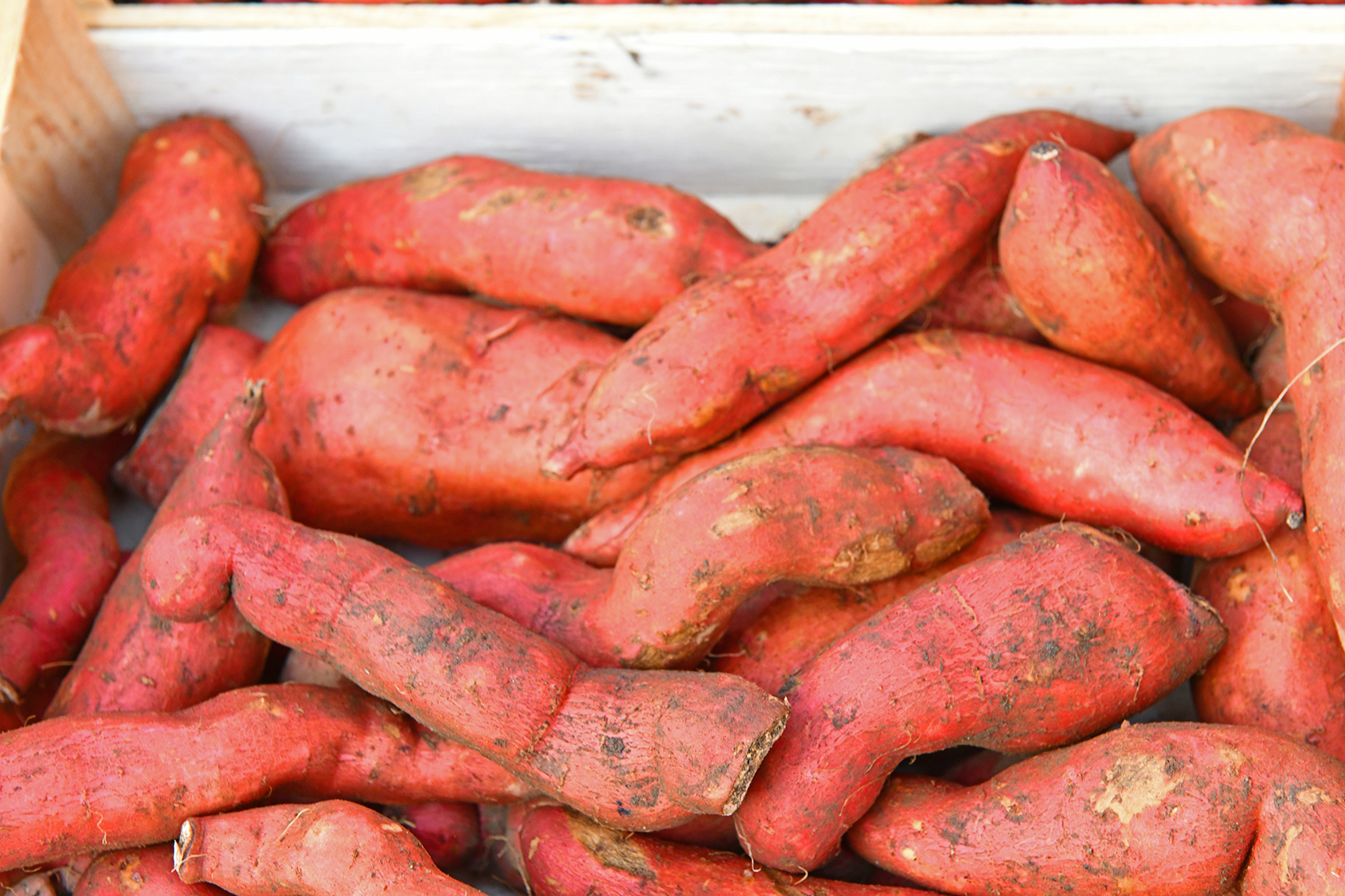 Un nouveau marché au Polygone – Ville de Valence
