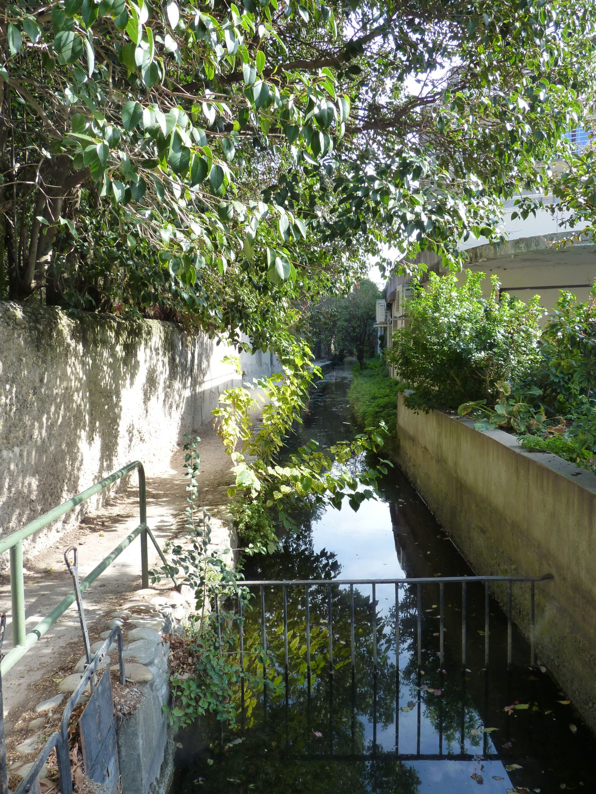 Promenade le long des canaux du Charran – Ville de Valence