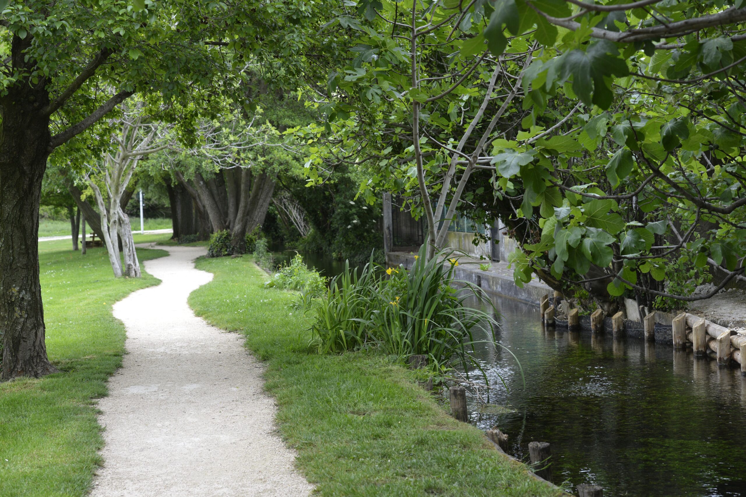 Les parcs à Valence – Ville de Valence